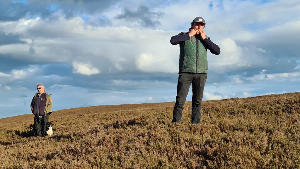 Contact Us - Wicklow Sheepdog Demonstration